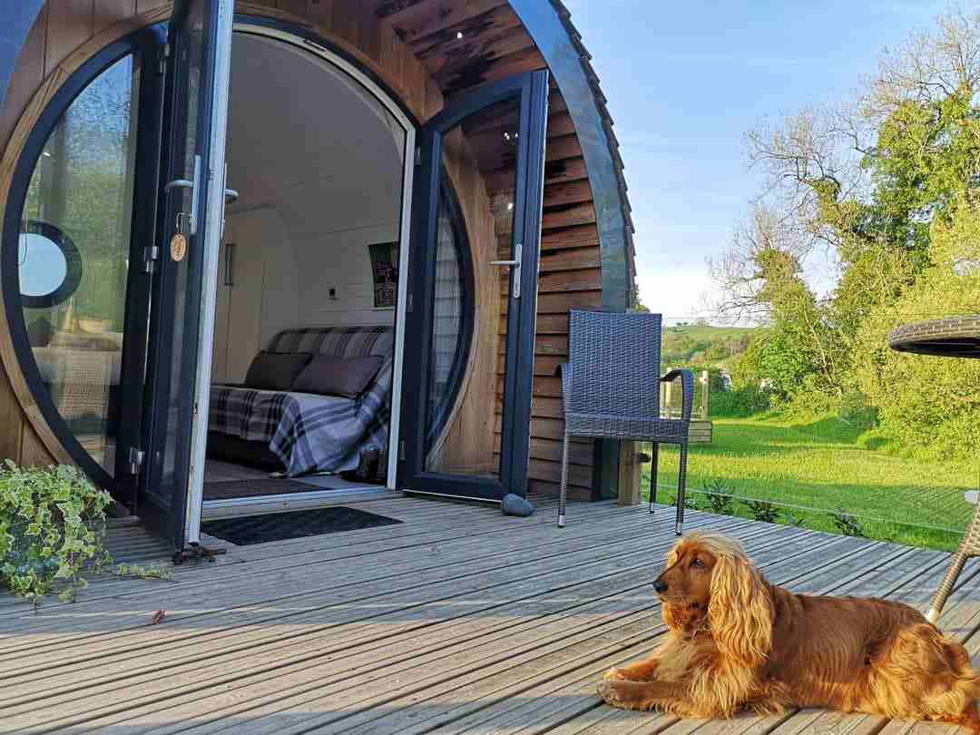 Luxury Glamping Pods with Hot Tub Adventures Under the Stars