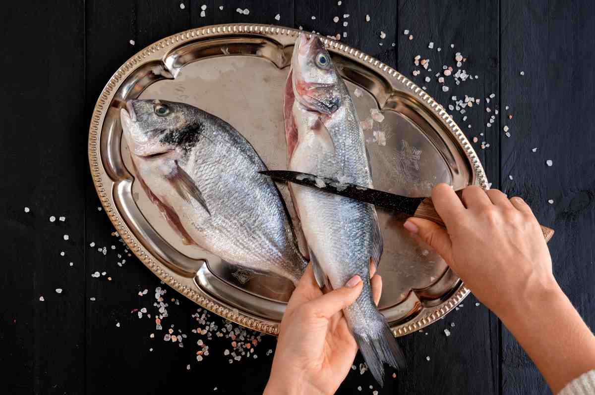 5 Tips for Making Delicious Posh Fish Finger Sandwiches